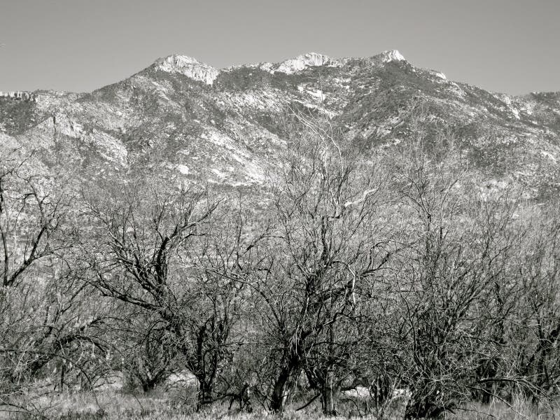 Arizona mountains stock image. Image of peace, trees - 30802225