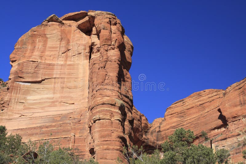 Arizona Red Rock Landscape stock image. Image of trees - 23534065