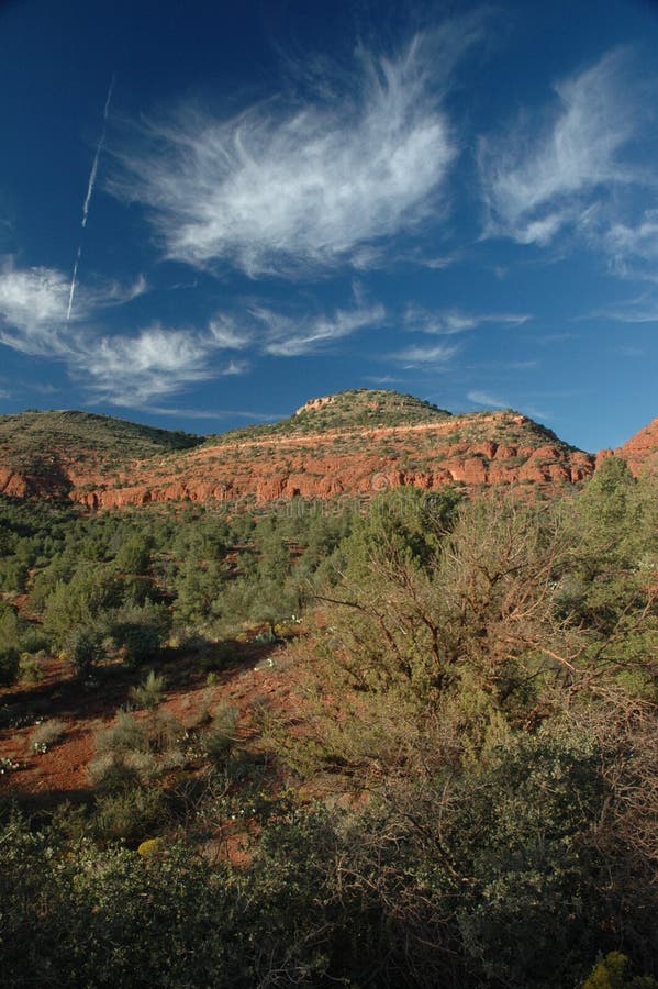 Arizona desert landscape stock photo. Image of expanse - 3934222