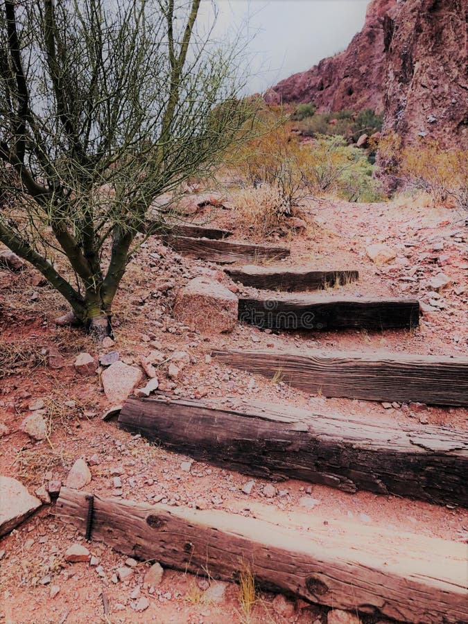 Arizona Steps on a Trail stock photo. Image of arizona - 260306504