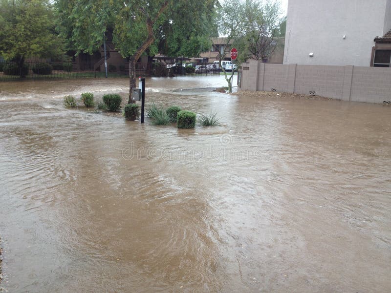 Aftermath of Monsoon Rain, Phoenix, AZ Stock Image - Image of seasonal ...
