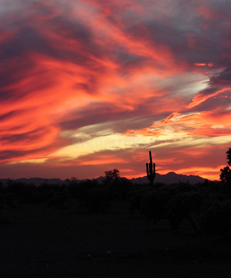 Arizona Sunset stock photo. Image of sunset, desert - 133959968