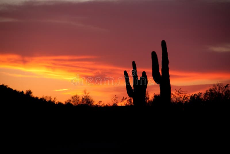 Arizona Sunset stock image. Image of arizona, sunset - 71096505
