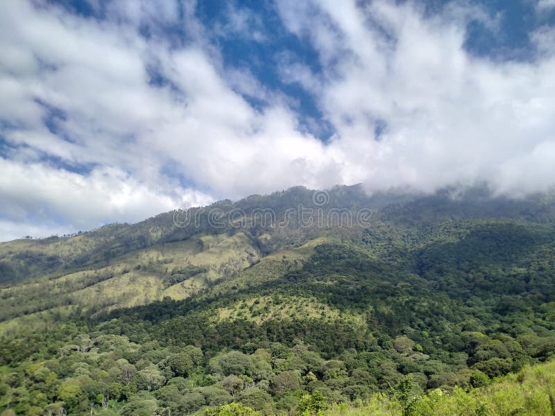 Arjuno mountain stock photo. Image of jungle, arjuno - 257639298