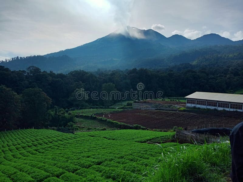 Arjuno Welirang Mountain in the Morning Stock Photo - Image of vacation ...