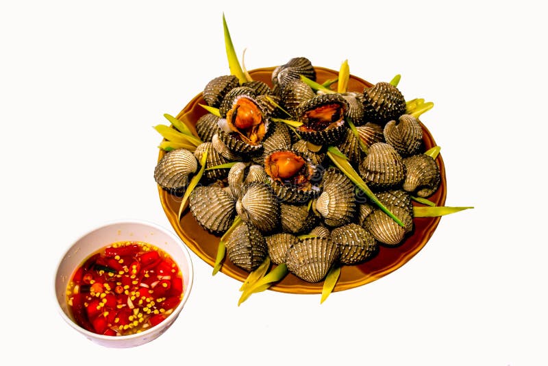 Ark shell seafood stock image. Image of goong, thai, spicy - 69982989