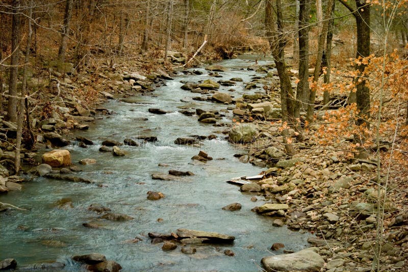 Arkansas Stream in Winter through the Woods Stock Photo - Image of ...