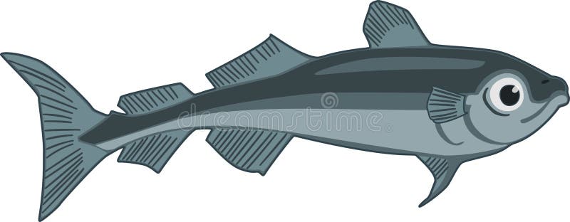 Arktisk torsk vektor illustrationer. Illustration av vild - 63316901