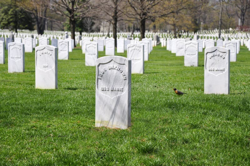 Arlington National Cemetery Editorial Stock Photo - Image of capital ...