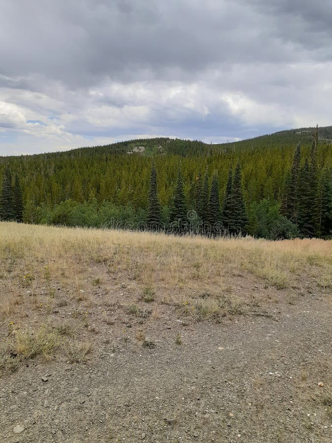 Arlington Wyoming Logging Trail Stock Image - Image of terrain, nature ...