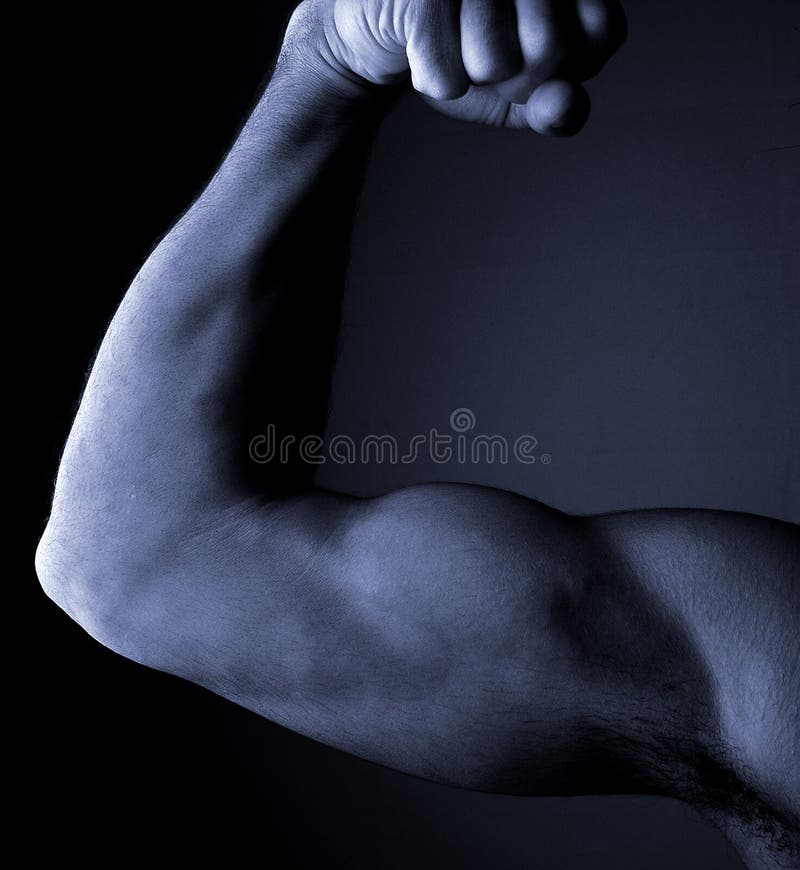 Arm -1 stock image. Image of stomach, erotic, attractive - 31869