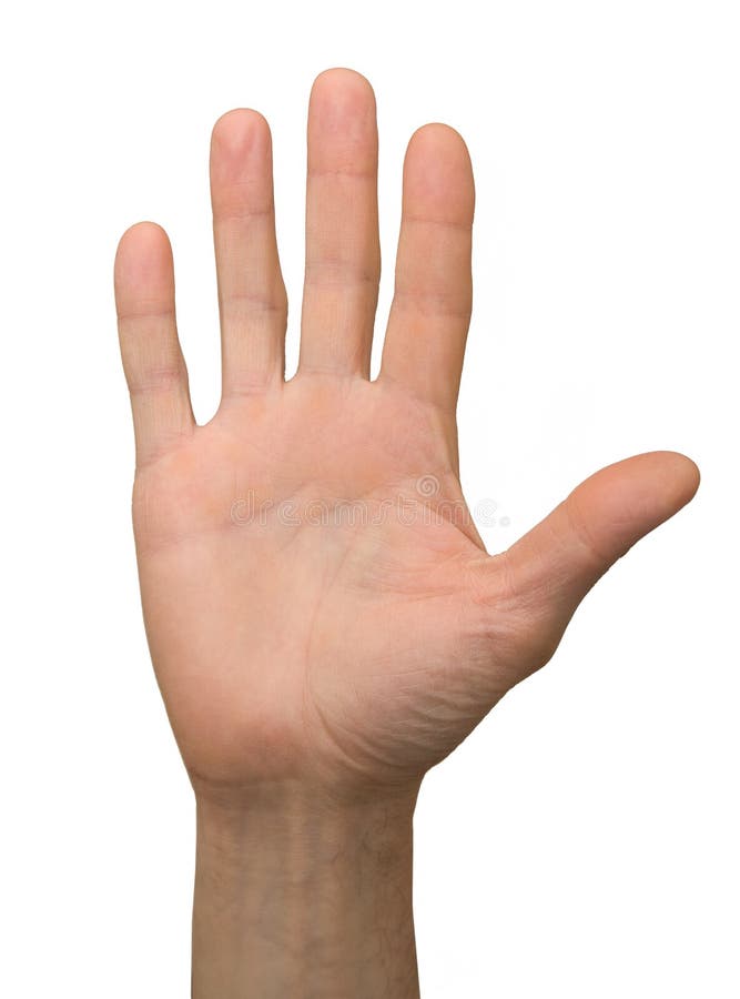 Open hand stock photo. Image of give, symbol, voting - 26546482