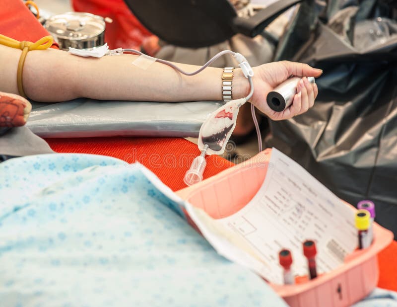 Arm of a blood donator stock photo. Image of donate, clinic - 29999912