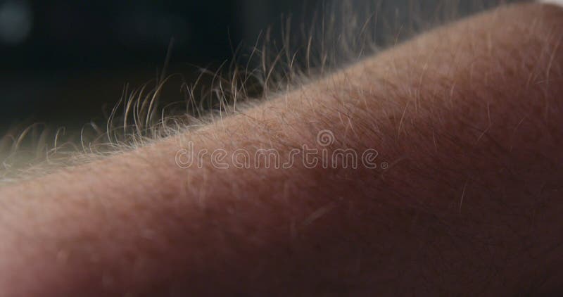 Arm Hair Rising, Emotional Feeling Stock Footage - Video of adrenaline ...