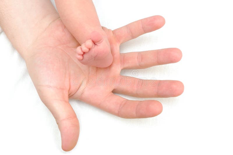 Newborn baby s arm stock photo. Image of innocent, innocence - 14024680