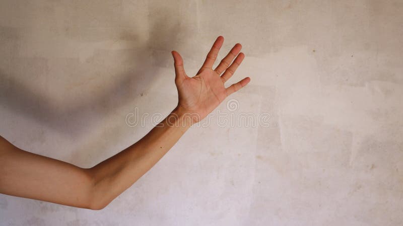 He arm of a slender man stock image. Image of fitness - 282408323