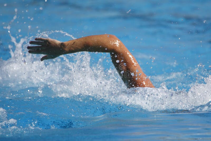 Arm Swimmer stock photo. Image of shoot, compete, exercise - 45762446