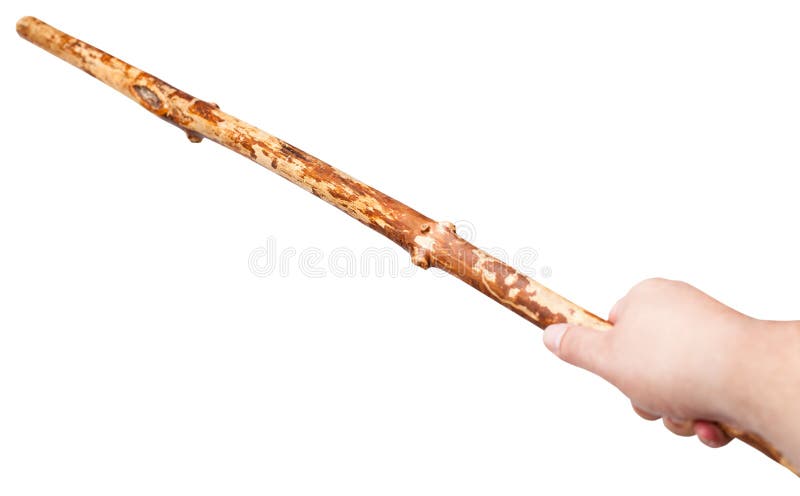 Arm with Wooden Staff from Tree Trunk Isolated Stock Photo - Image of ...