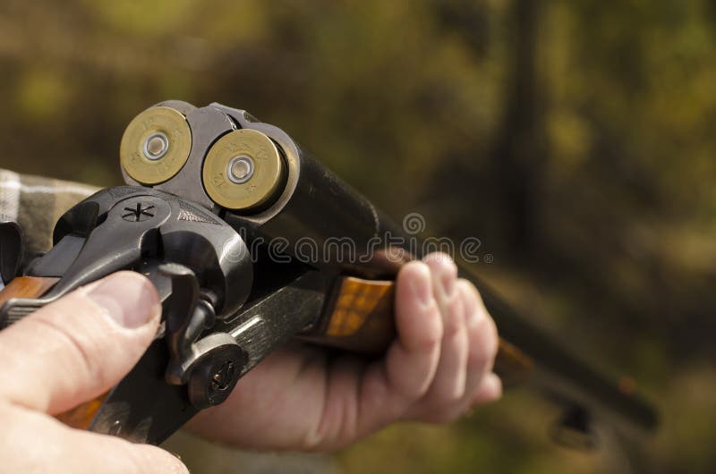 A arma do doze-calibre foto de stock. Imagem de cartucho - 127652758
