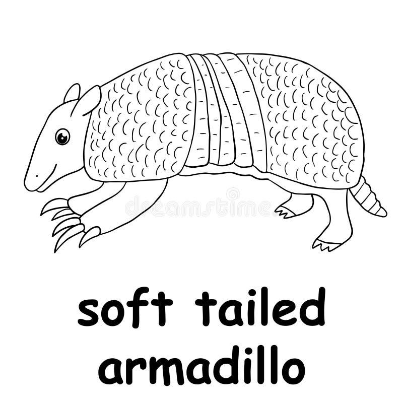 Armadillo Line Drawing Stock Illustrations – 164 Armadillo Line Drawing ...