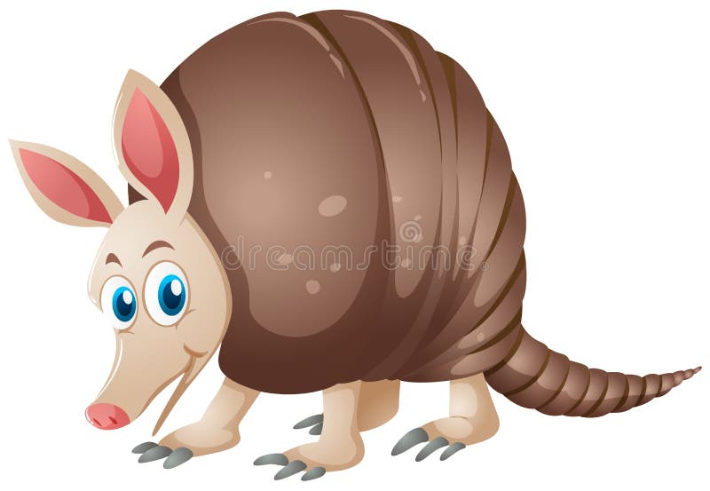 Happy Armadillo Cartoon Character Stock Vector - Illustration of brown ...