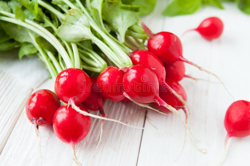 Armful of Fresh Red Radish on the Boards Stock Image - Image of ...
