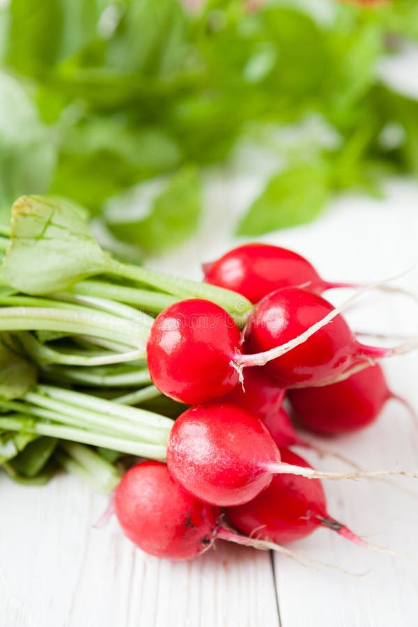 Armful of Fresh Red Radish with Leaves Stock Photo - Image of diet ...