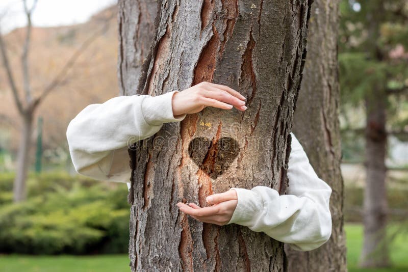 Arms Hugging a Heart on Tree. Representing Protection and Love for ...