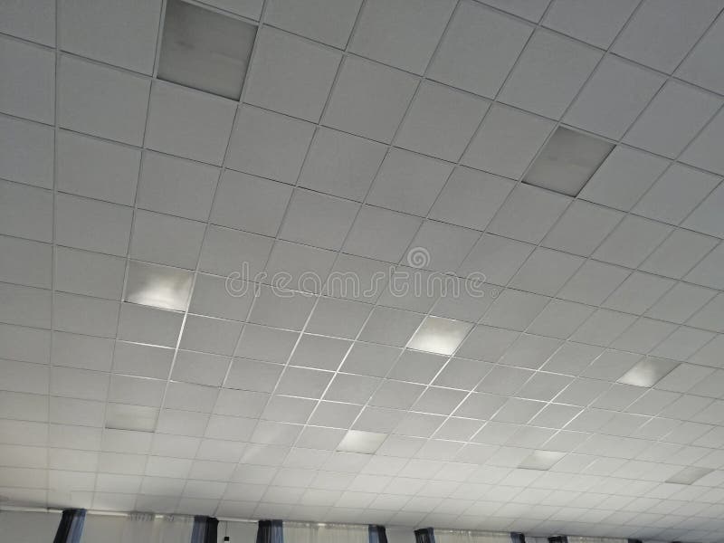 Armstrong Suspended Ceilings and Ceiling Systems in the Great Hall ...
