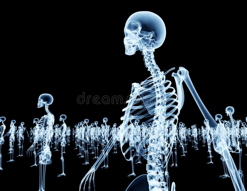 Army of Xray Skeletons Isolated on Black Stock Illustration ...