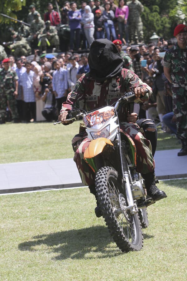 Army special forces editorial photography. Image of army - 76466202