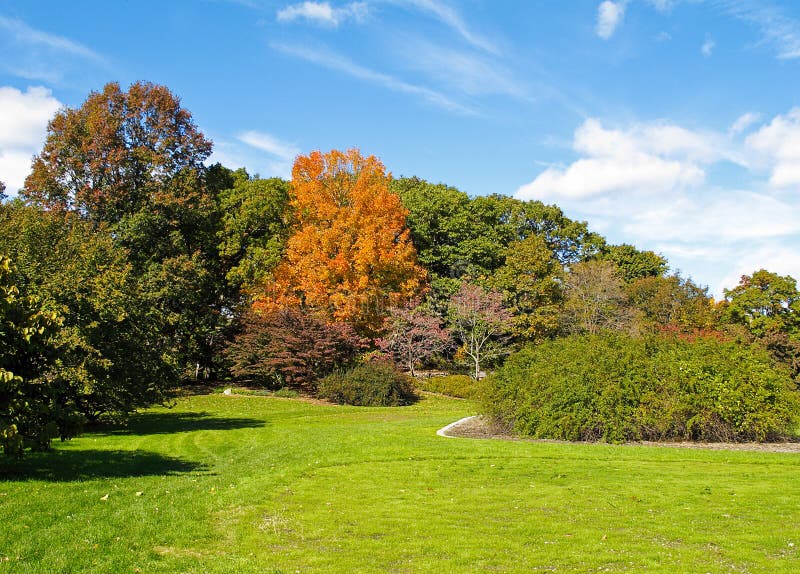 Arnold Arboretum, Boston stock image. Image of harvard - 16695259