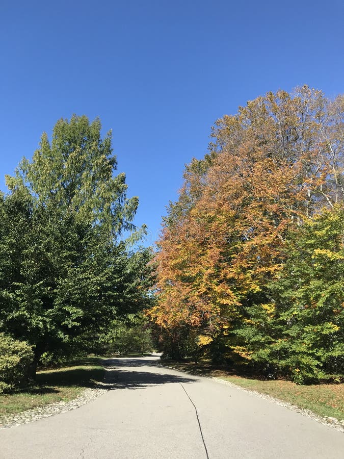 Harvard Fall Landscape stock photo. Image of season, orange - 39581536