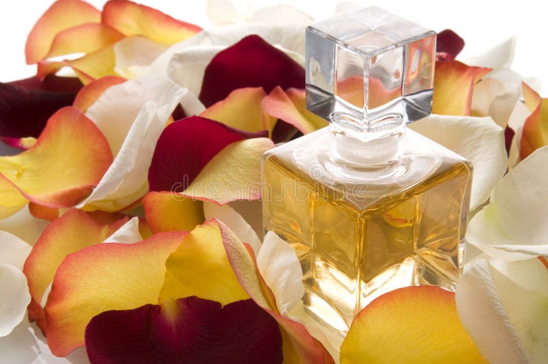 Aroma. stock photo. Image of petals, essential, floral - 5264050