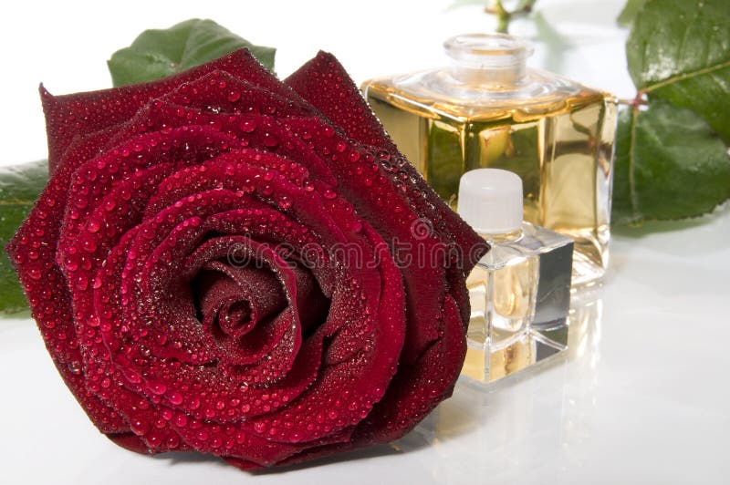Aroma. stock photo. Image of essential, blooms, bottle - 5623844