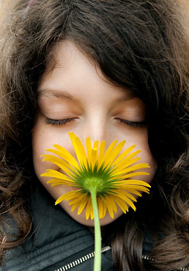 Aroma stock photo. Image of camomile, flowering, nature - 9603784