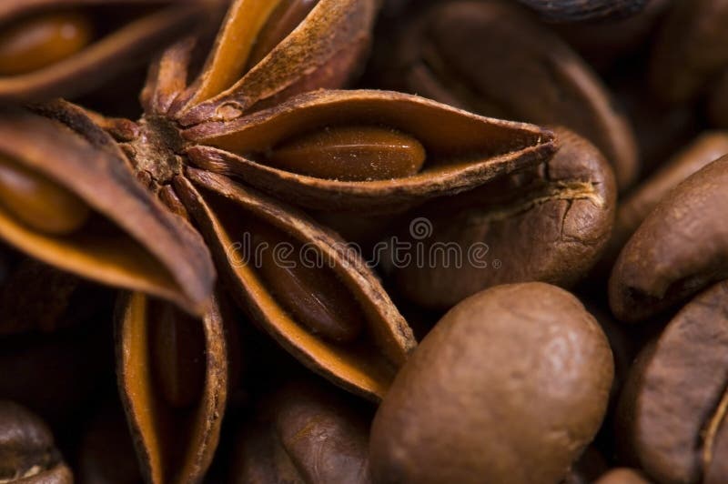 Aroma coffee ingredients stock photo. Image of breakfast - 11254158