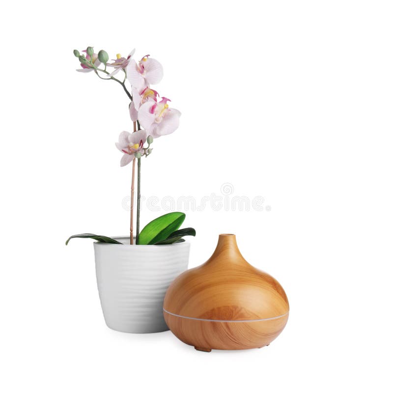 Aroma Oil Diffuser Orchid Flower Isolated White Stock Photos - Free ...
