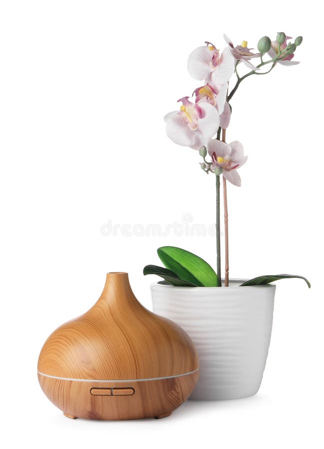 Aroma Oil Diffuser and Orchid Flower Isolated on White Stock Image ...