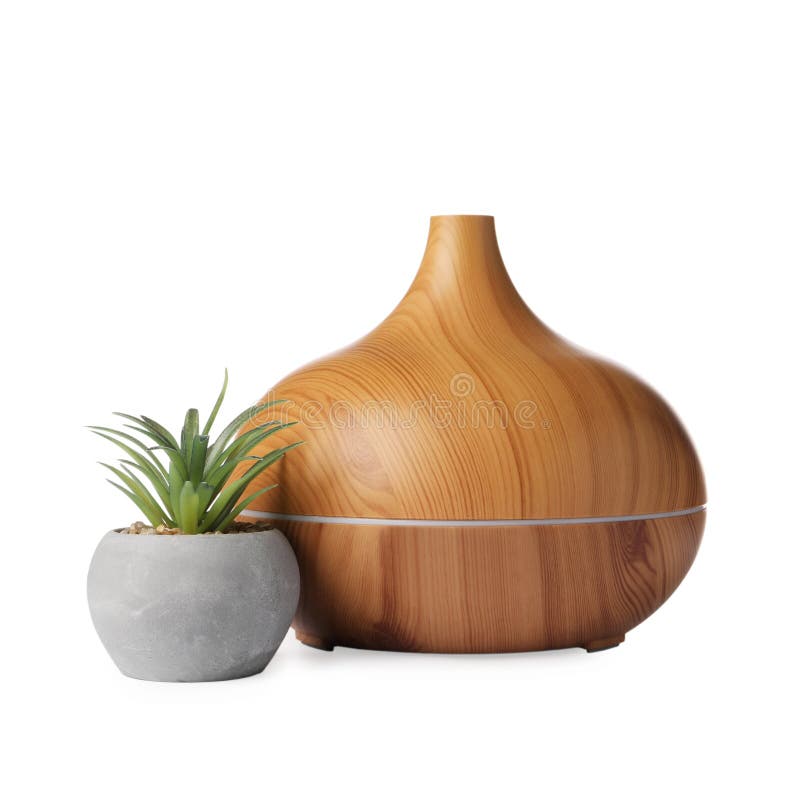 Aroma Oil Diffuser and Plant Isolated on White Stock Image - Image of ...