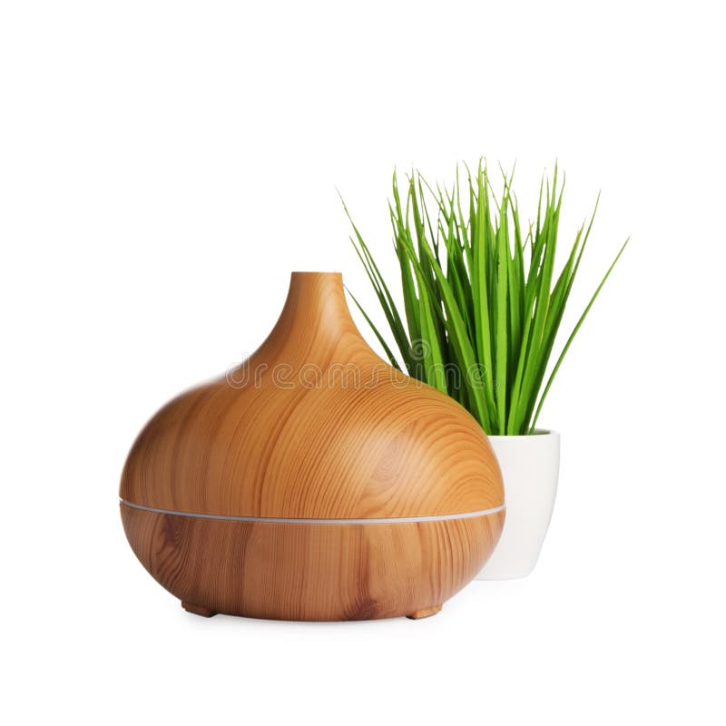 Aroma Oil Diffuser and Plant Isolated on White Stock Photo - Image of ...