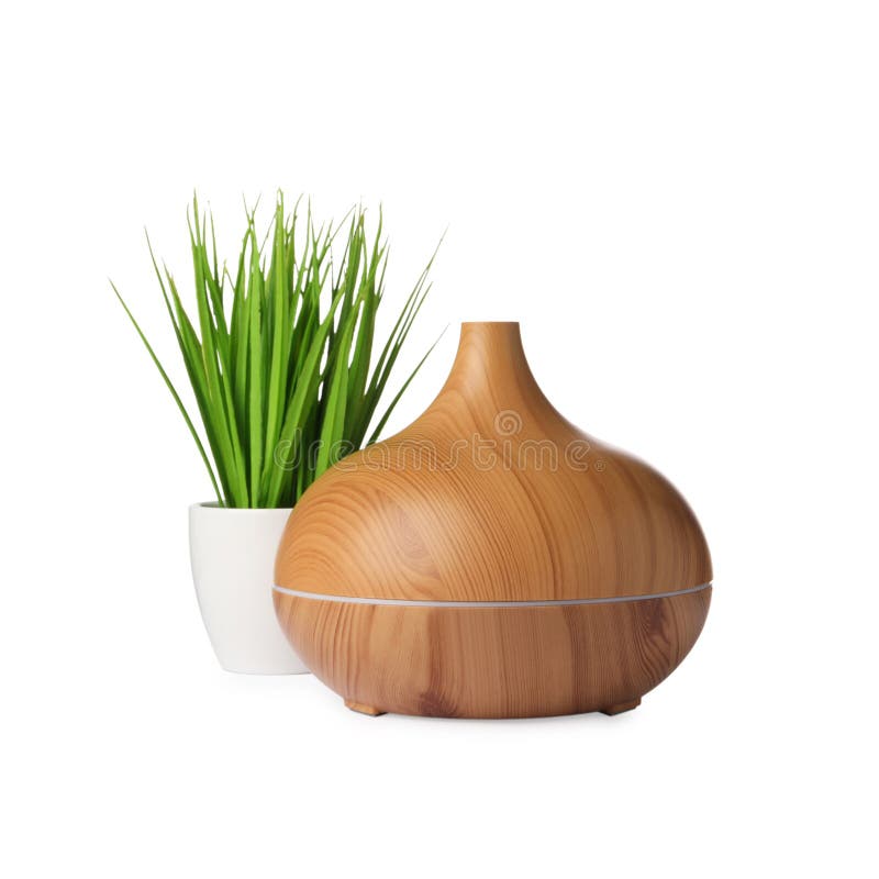 Aroma Oil Diffuser and Plant Isolated on White Stock Image - Image of ...