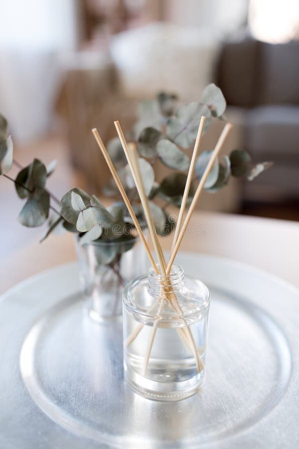 Aroma Reed Diffuser and Branches of Eucalyptus Stock Image - Image of ...