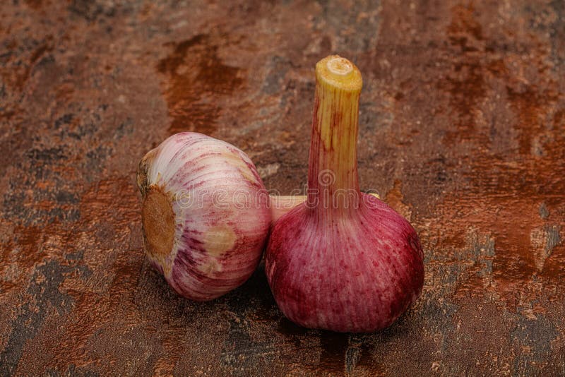 Aroma Seasoning - Young Fresh Garlic Stock Photo - Image of fresh ...
