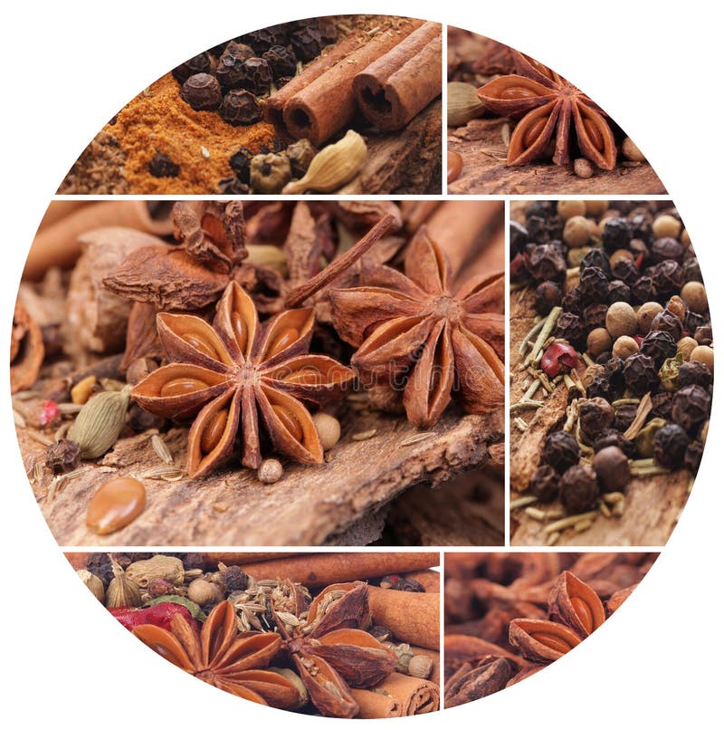 Aroma spices stock photo. Image of garlic, star, mushroom - 93020752