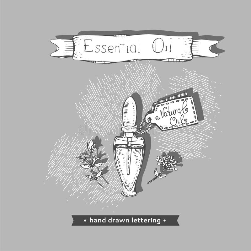 Aromatherapy Accessory . Detailed Hand-drawn Sketches Stock Vector ...