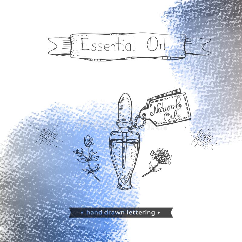 Aromatherapy Accessory . Detailed Hand-drawn Sketches Stock Vector ...