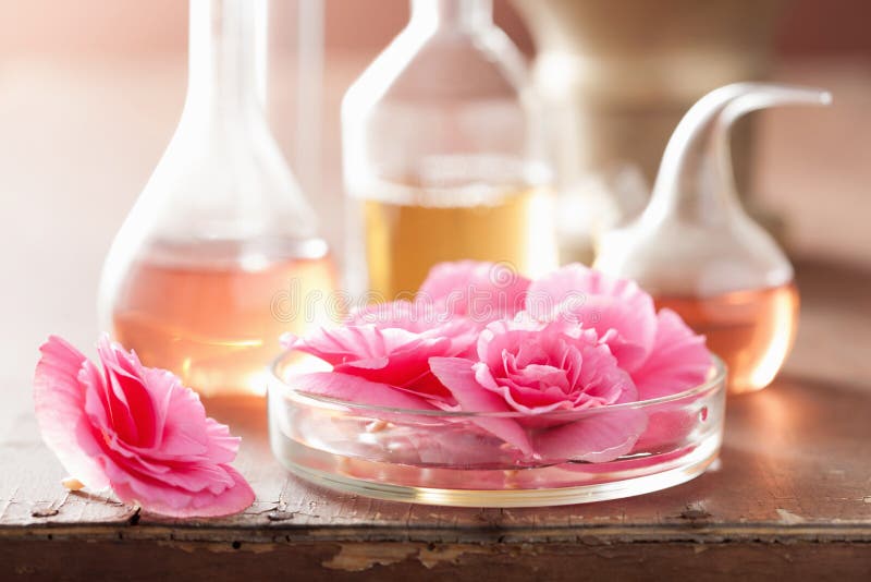 Aromatherapy and Alchemy with Pink Flowers Stock Photo - Image of flask ...