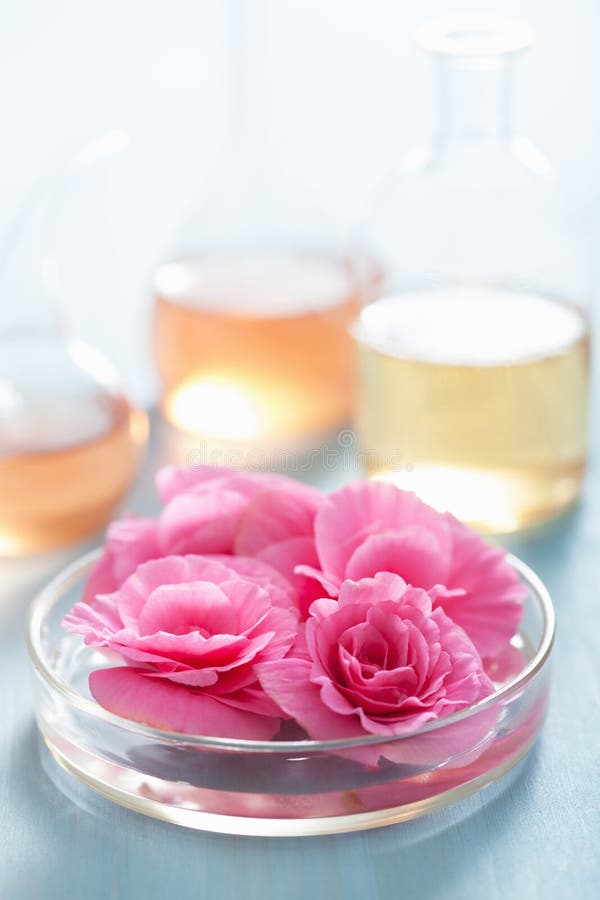 Aromatherapy and Alchemy with Pink Flowers Stock Image - Image of ...