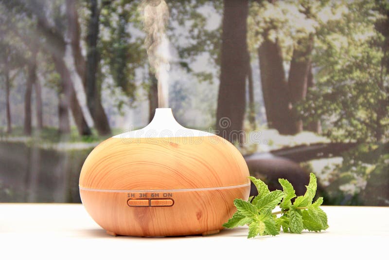 Aromatherapy with a Diffuser and Mint Stock Image - Image of medicine ...